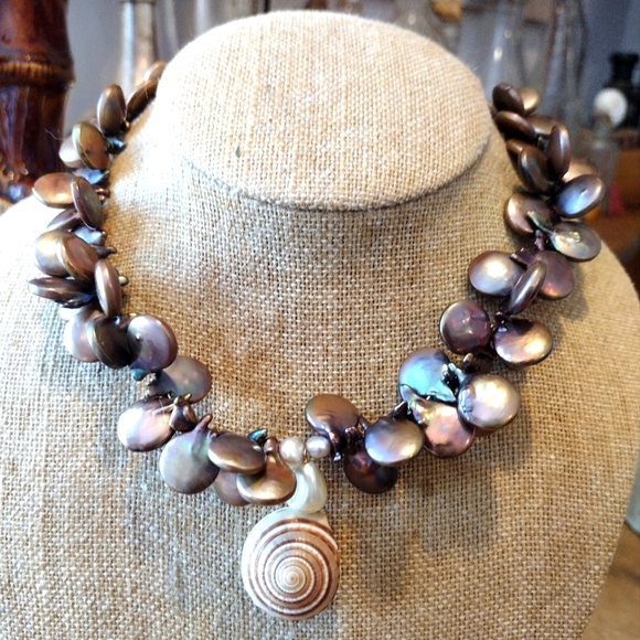 Meg Carter Designs | Jewelry | Meg Carter Rare Sundial Seashell Coin ...